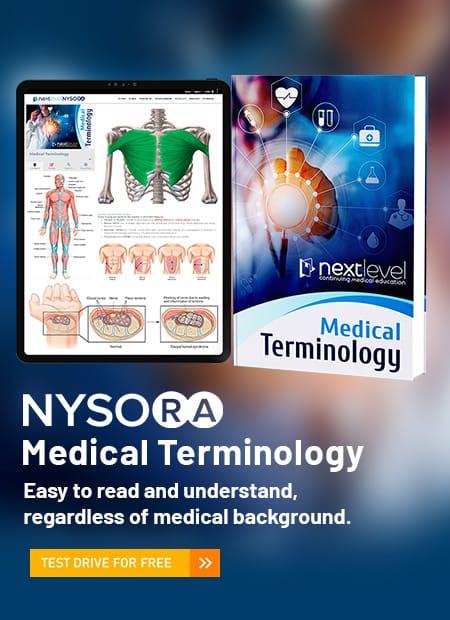 Medical Terminology | PocketEDU