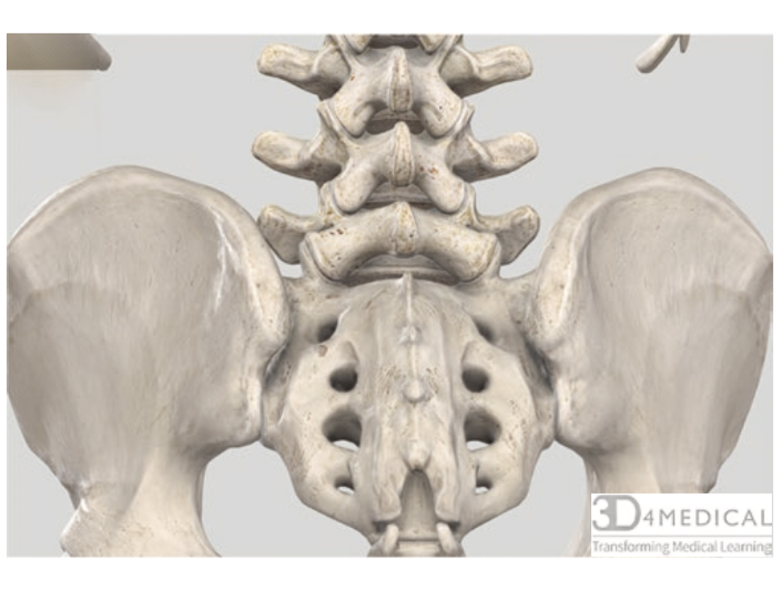 Interventional Pain | PocketEDU