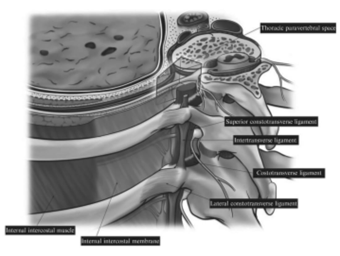 Atlas of Pain Management | PocketEDU